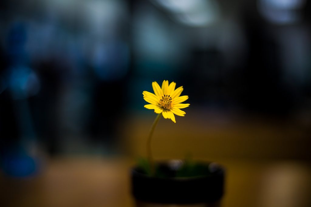 RAMBLING: Synonyms and Related Words. What is Another Word for RAMBLING ...