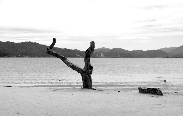 THUS: Synonyms and Related Words. What is Another Word for THUS ...