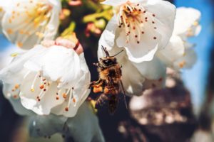 ALAS: Synonyms and Related Words. What is Another Word for ALAS ...