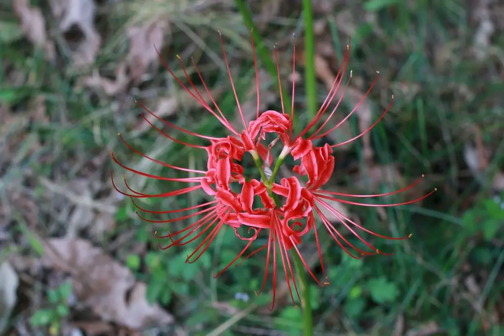 WHATSOEVER: Synonyms and Related Words. What is Another Word for ...