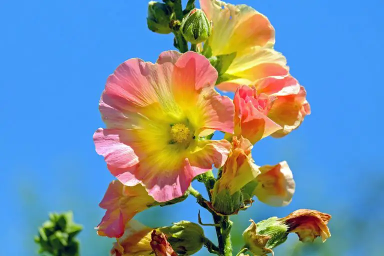 BRIGHT: Synonyms and Related Words. What is Another Word for BRIGHT ...