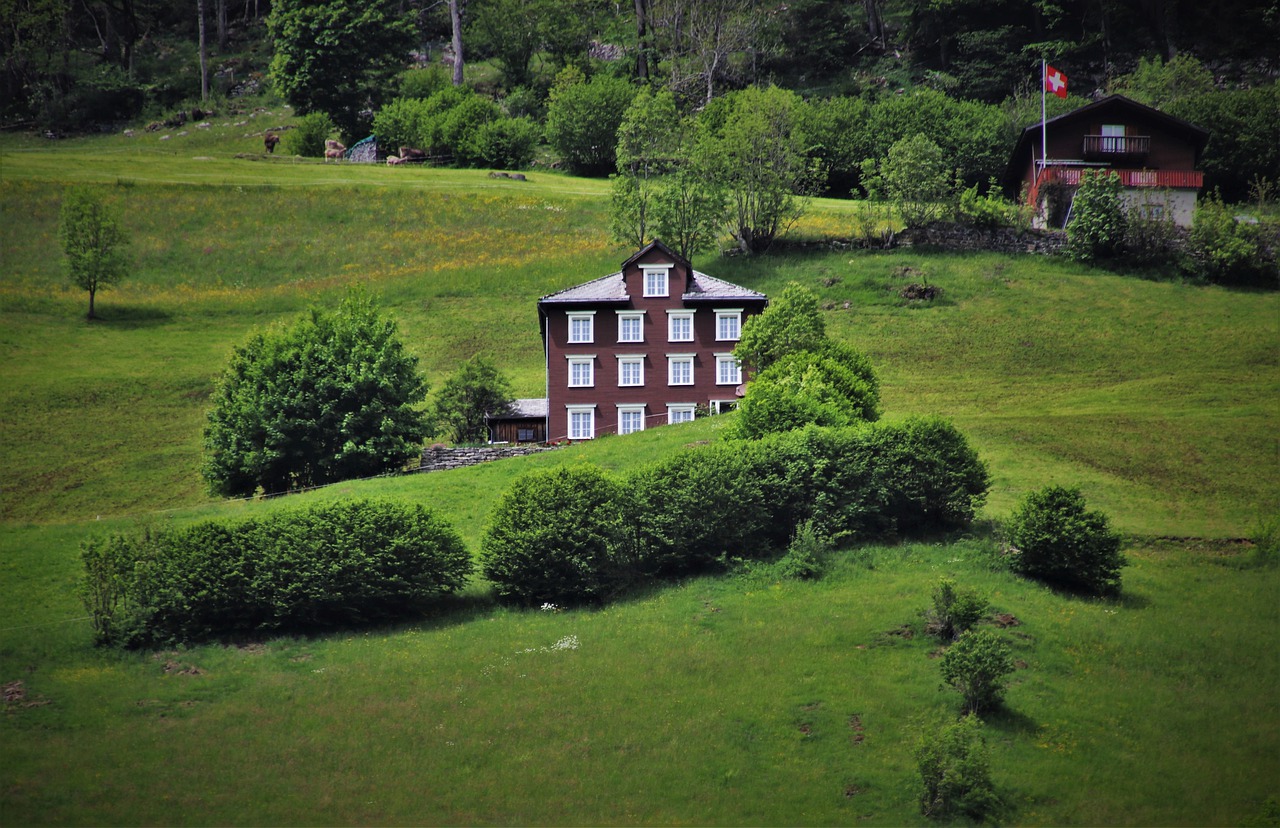 EXTERNAL: Synonyms and Related Words. What is Another Word for EXTERNAL ...