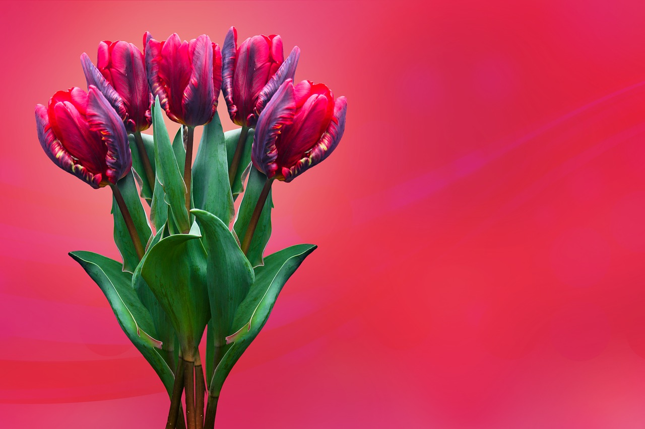 EXCUSE: Synonyms and Related Words. What is Another Word for EXCUSE ...