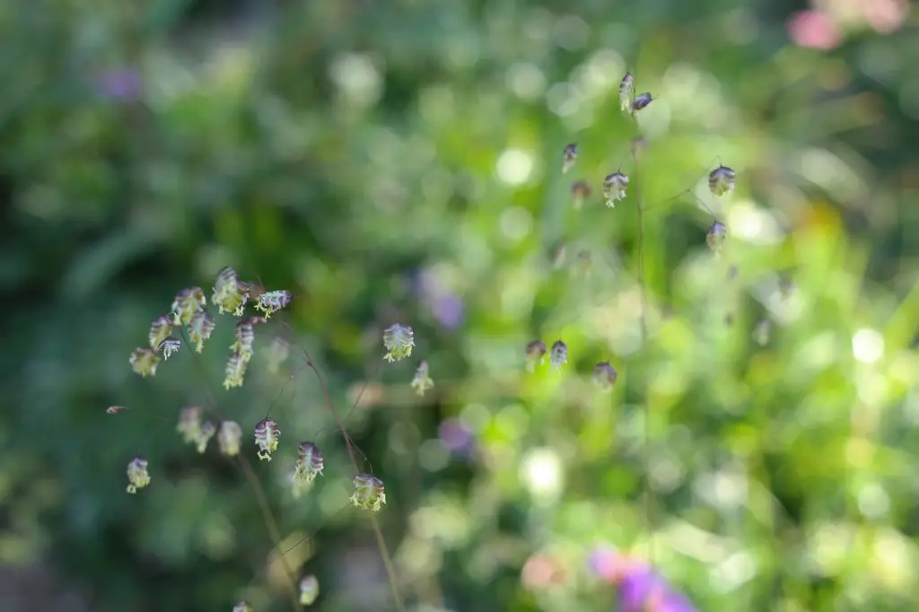 ASSESS: Synonyms and Related Words. What is Another Word for ASSESS ...