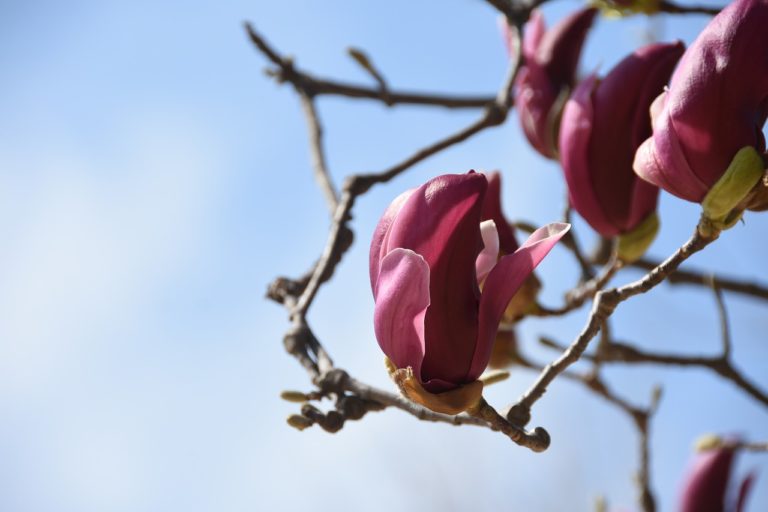 FREQUENT: Synonyms and Related Words. What is Another Word for FREQUENT ...