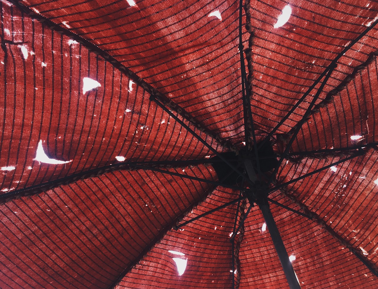 STYLIZED: Synonyms and Related Words. What is Another Word for STYLIZED ...