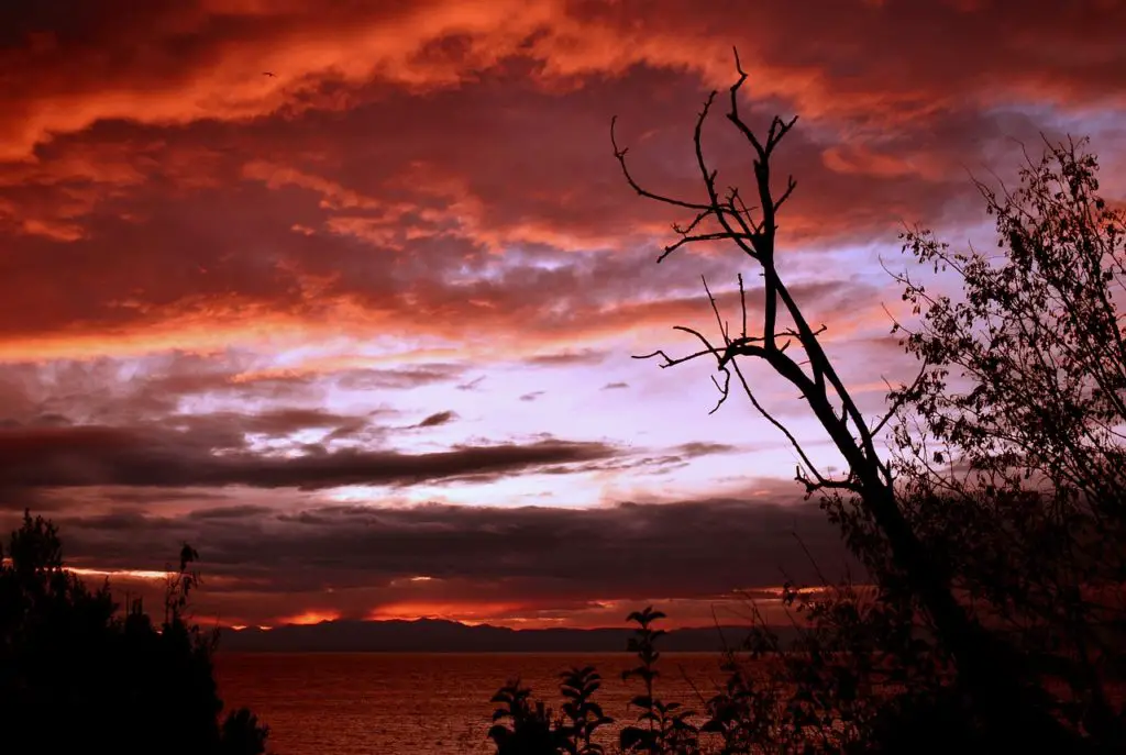 SCARLET: Synonyms and Related Words. What is Another Word for SCARLET ...