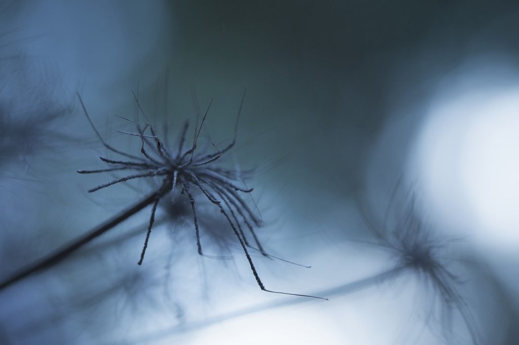 ADVERSITY: Synonyms and Related Words. What is Another Word for ...