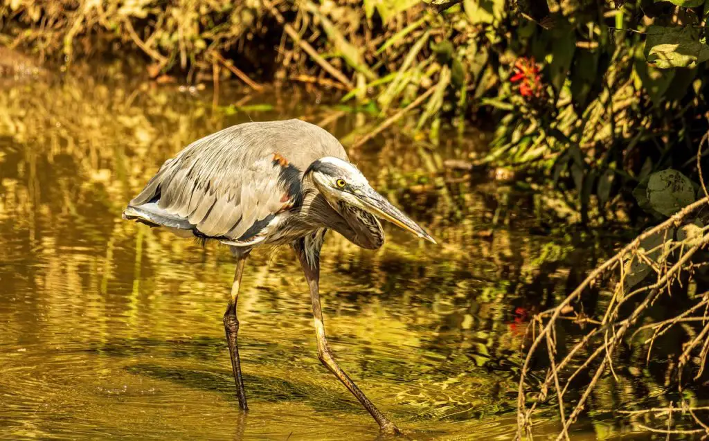 STEALTHY: Synonyms and Related Words. What is Another Word for STEALTHY ...