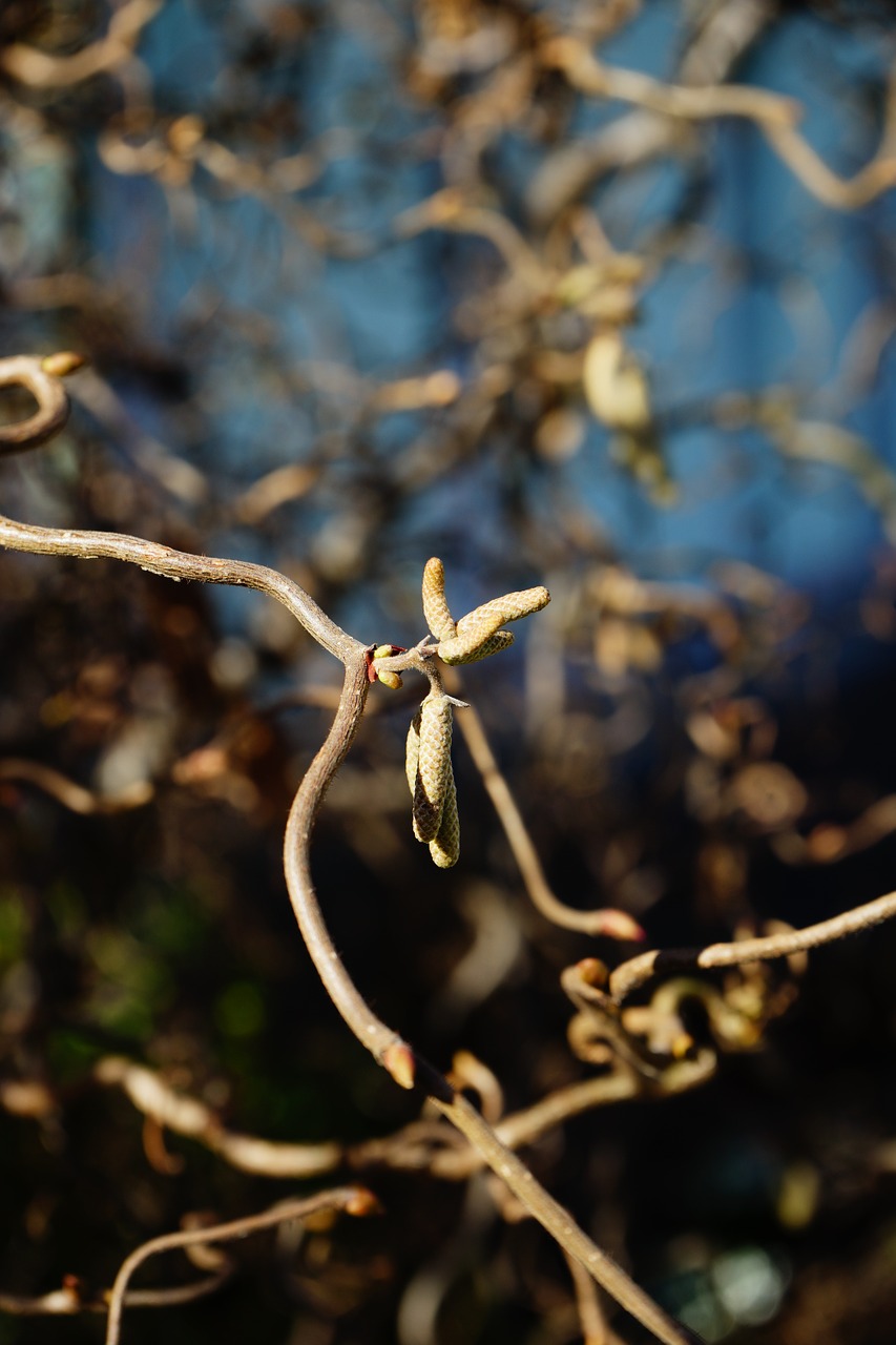 MUTATION: Synonyms and Related Words. What is Another Word for MUTATION ...