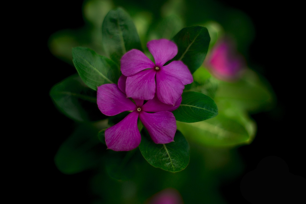 EVER: Synonyms and Related Words. What is Another Word for EVER ...