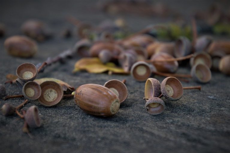 COLLAPSE: Synonyms and Related Words. What is Another Word for COLLAPSE ...