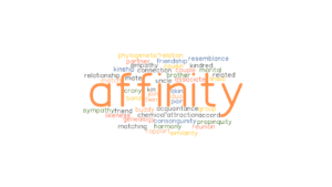 AFFINITY: Synonyms and Related Words. What is Another Word for AFFINITY ...