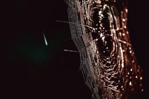 THREAD: Synonyms and Related Words. What is Another Word for THREAD ...