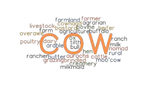 COW: Synonyms and Related Words. What is Another Word for COW ...