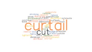 CURTAIL: Synonyms and Related Words. What is Another Word for CURTAIL ...