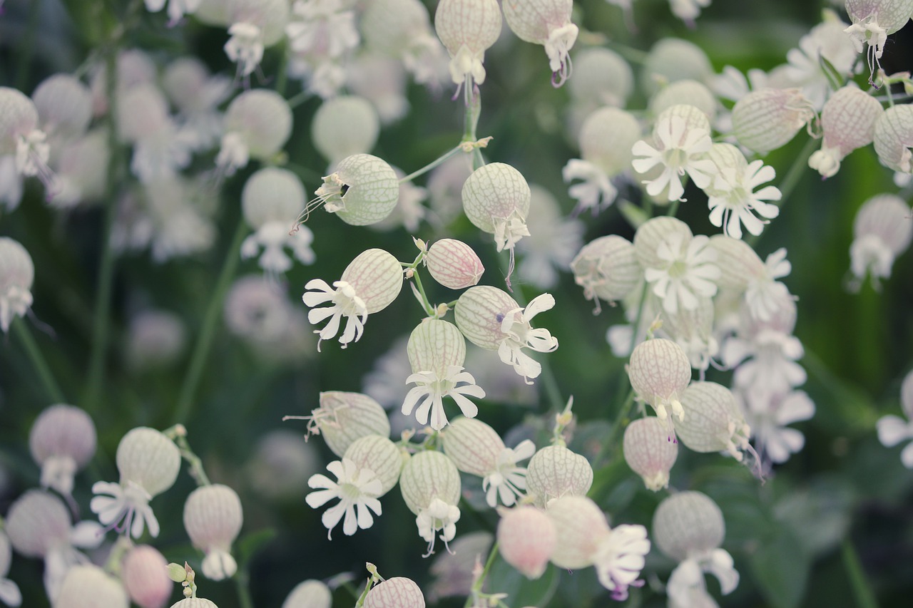 INFLATED: Synonyms and Related Words. What is Another Word for INFLATED ...