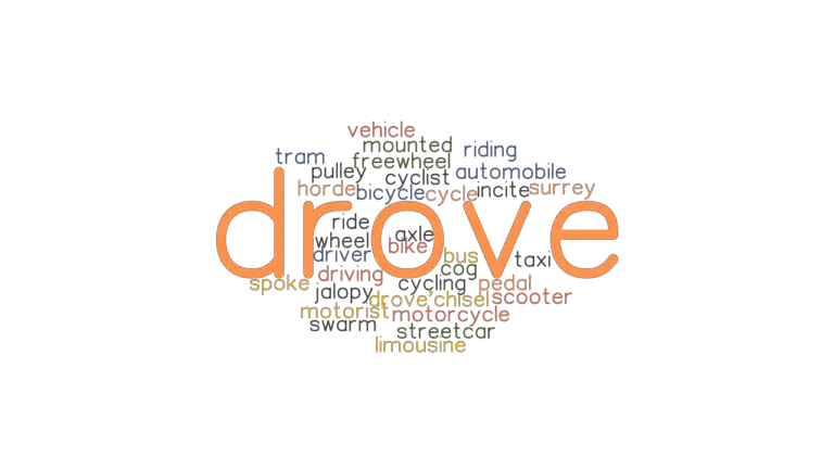 DROVE: Synonyms and Related Words. What is Another Word for DROVE ...