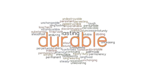 DURABLE: Synonyms and Related Words. What is Another Word for DURABLE ...