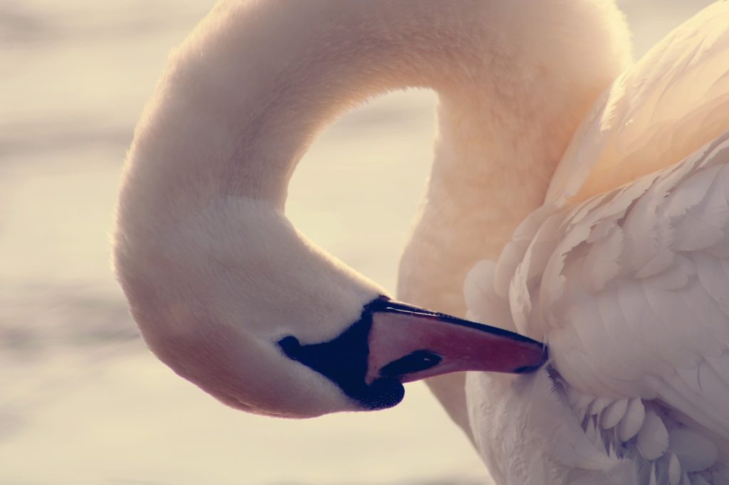 TWIST: Synonyms and Related Words. What is Another Word for TWIST ...