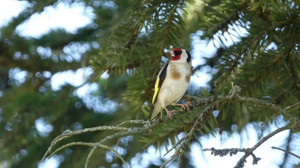 CATHARTIC: Synonyms and Related Words. What is Another Word for ...