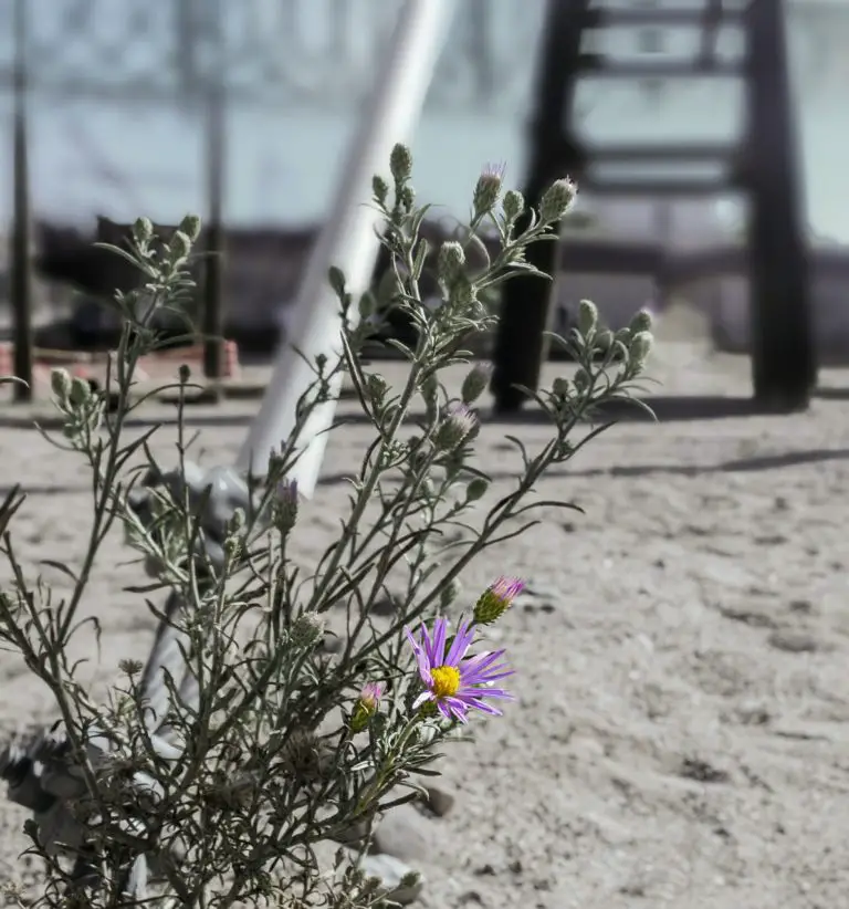 ADVERSITY: Synonyms and Related Words. What is Another Word for ...