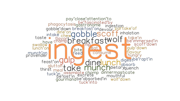 INGEST: Synonyms and Related Words. What is Another Word for INGEST ...