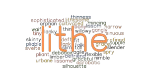 LITHE: Synonyms and Related Words. What is Another Word for LITHE ...
