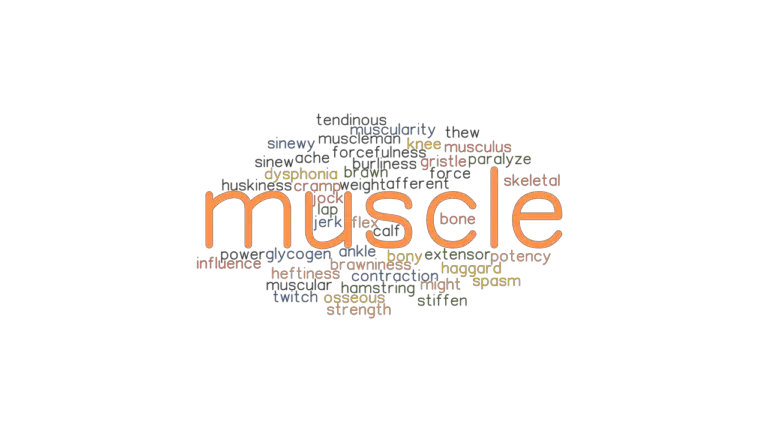 MUSCLE: Synonyms and Related Words. What is Another Word for MUSCLE ...