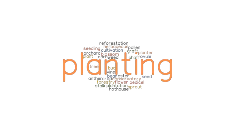 PLANTING: Synonyms and Related Words. What is Another Word for PLANTING ...