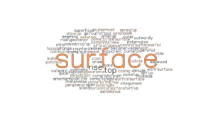 SURFACE: Synonyms and Related Words. What is Another Word for SURFACE ...