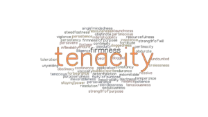 TENACITY: Synonyms and Related Words. What is Another Word for TENACITY ...