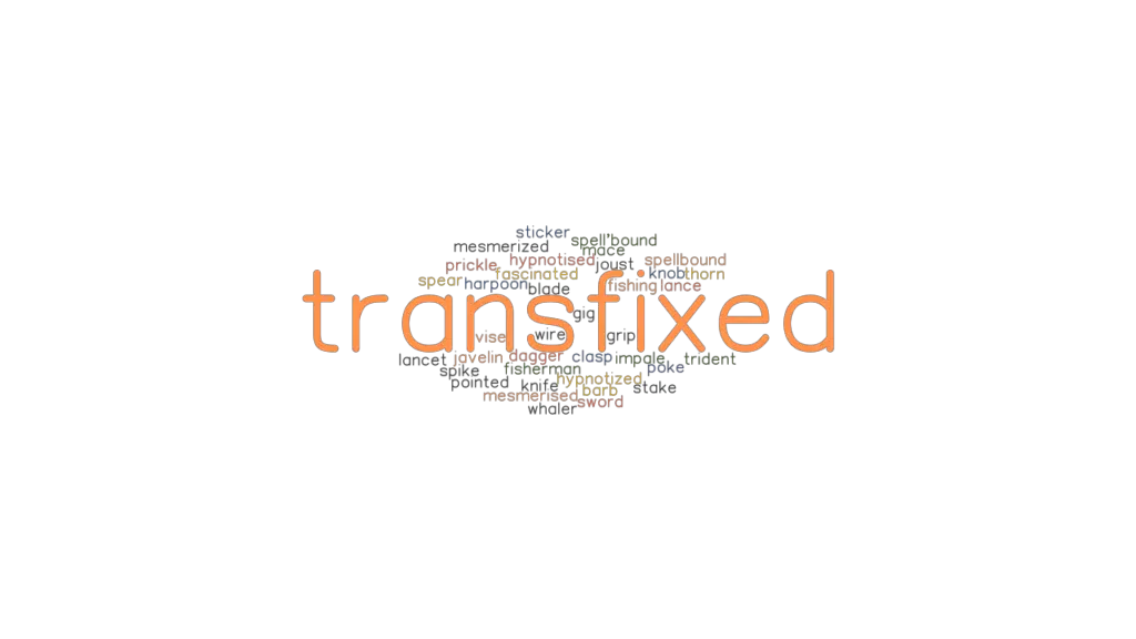 TRANSFIXED: Synonyms and Related Words. What is Another Word for ...