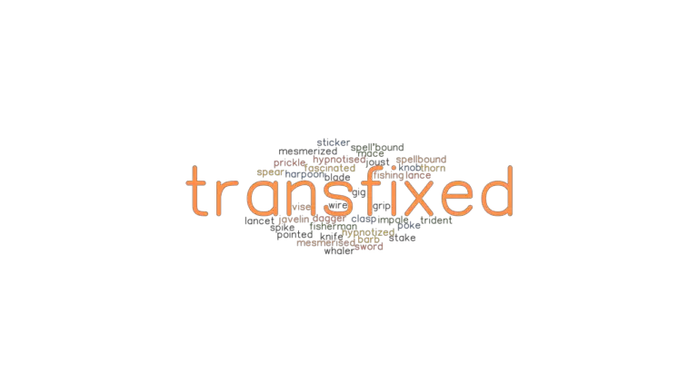 TRANSFIXED: Synonyms and Related Words. What is Another Word for ...