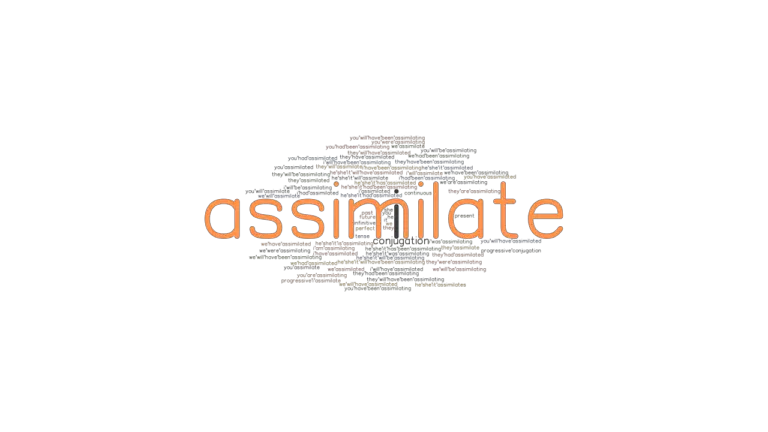 Assimilate Synonym
