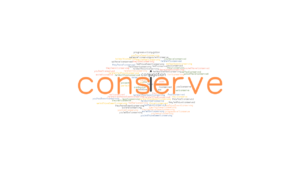 Conserve Past Tense: Verb Forms, Conjugate CONSERVE - GrammarTOP.com