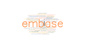 Embase Past Tense: Verb Forms, Conjugate EMBASE - GrammarTOP.com