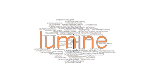 Lumine Past Tense: Verb Forms, Conjugate LUMINE - GrammarTOP.com