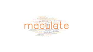 Maculate Past Tense: Verb Forms, Conjugate MACULATE - GrammarTOP.com