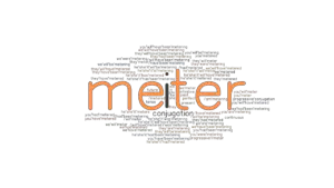 Meter Past Tense: Verb Forms, Conjugate METER - GrammarTOP.com