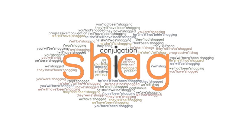 Shag Past Tense: Verb Forms, Conjugate SHAG - GrammarTOP.com