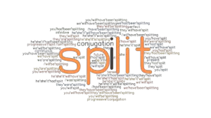 Split Past Tense: Verb Forms, Conjugate SPLIT - GrammarTOP.com