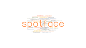 Spotface Past Tense: Verb Forms, Conjugate SPOTFACE - GrammarTOP.com