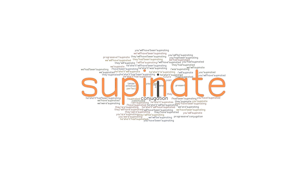 Supinate Past Tense: Verb Forms, Conjugate SUPINATE - GrammarTOP.com