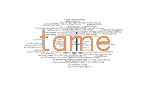 Tame Past Tense: Verb Forms, Conjugate TAME - GrammarTOP.com
